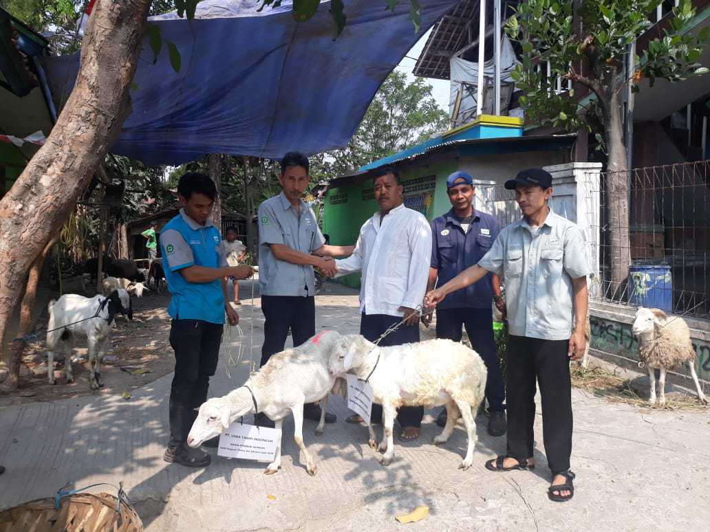 PT. USRA TAMPI INDONESIA